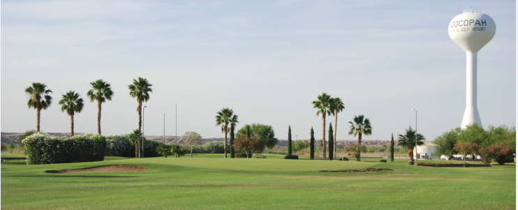 Daily Golf Updates - Cocopah RV & Golf Resort